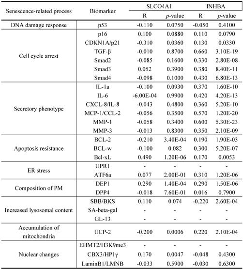 INHBA is a novel mediator regulating cellular senescence and immune ...