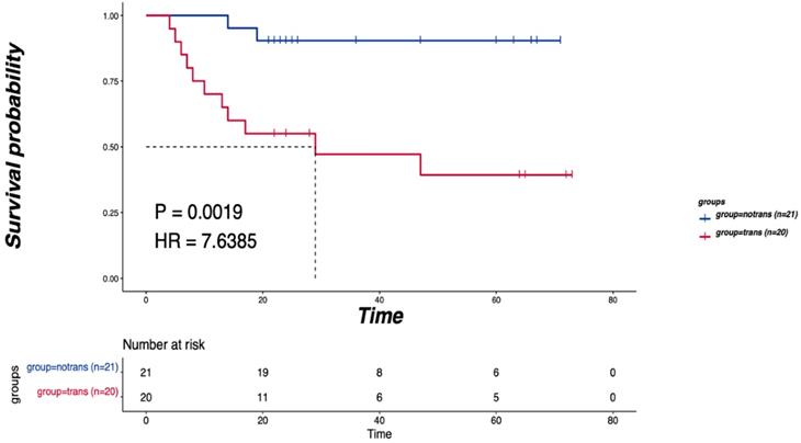 CNV Analysis of the Correlation between Preoperative Lymph Node ...