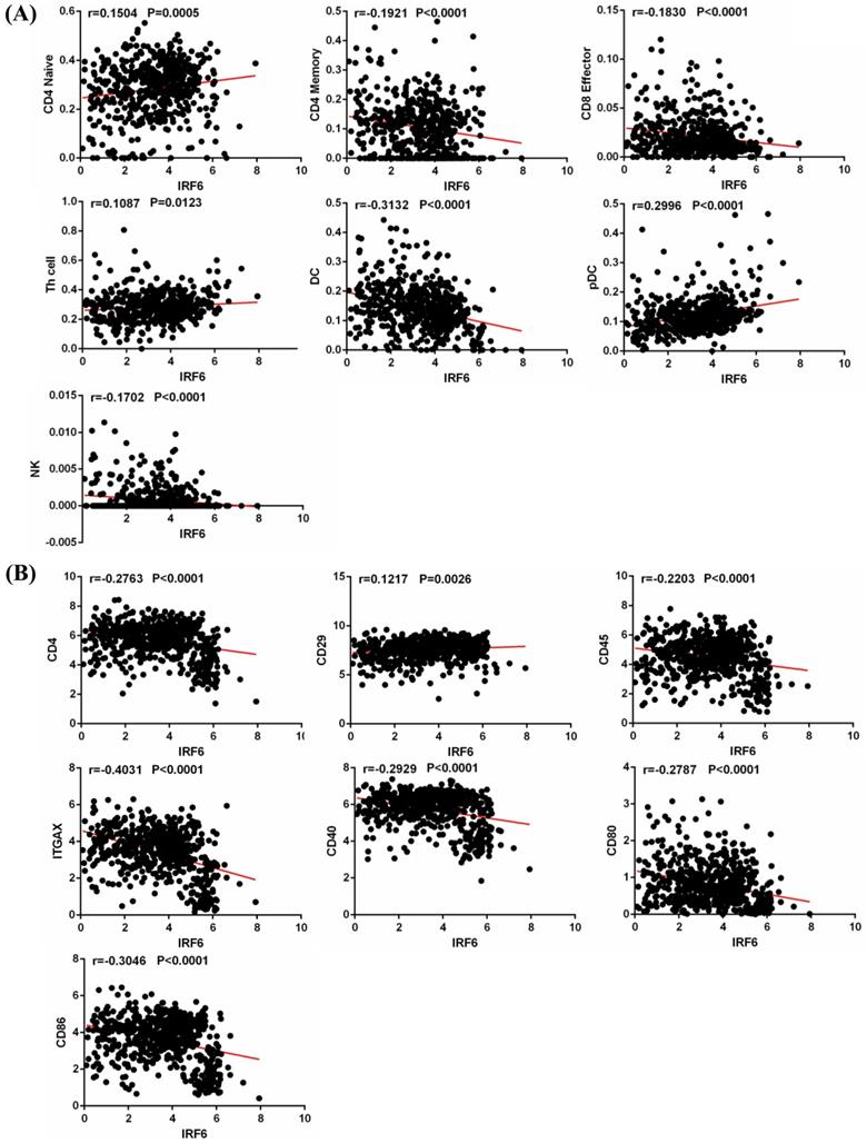 Decreased interferon regulatory factor 6 expression due to DNA ...
