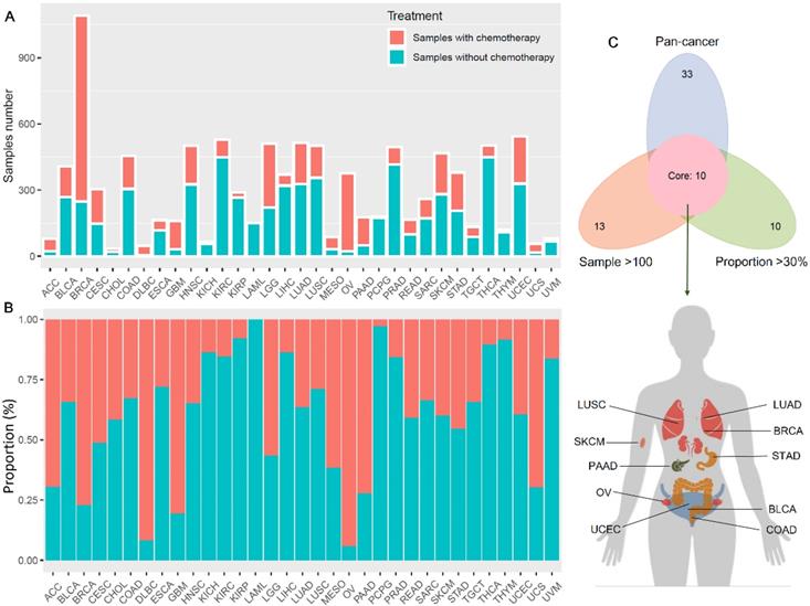 Identifies Immune Feature Genes for Prediction of Chemotherapy Benefit ...