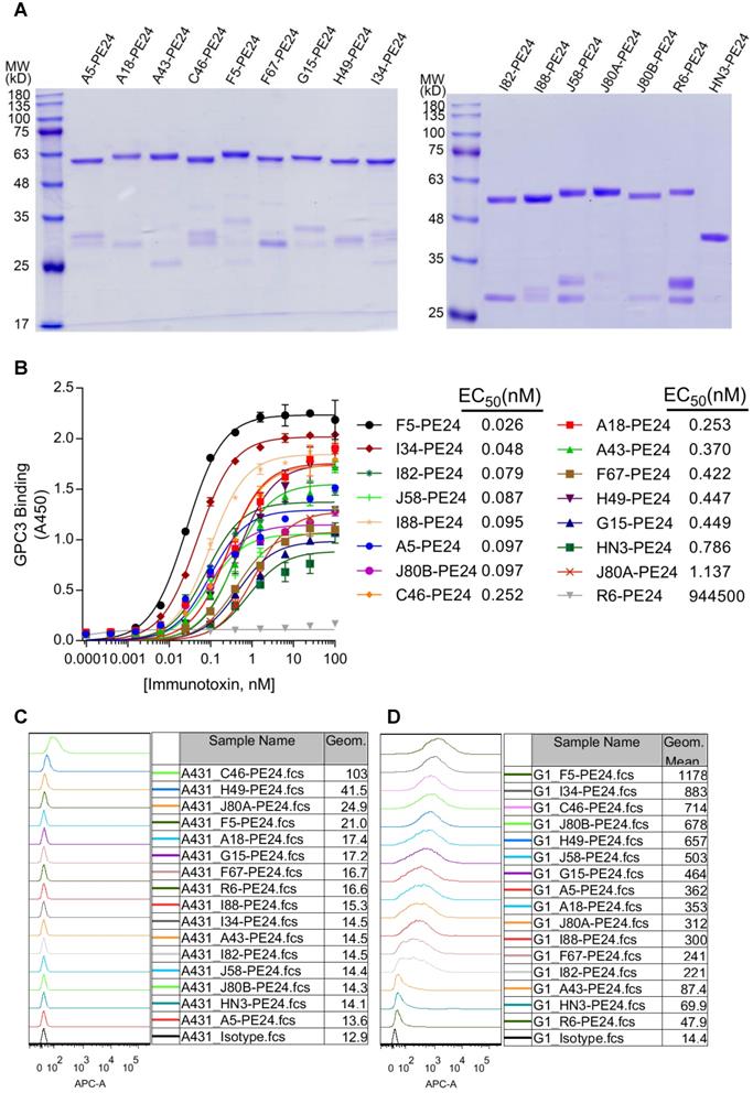 Highly Potent Immunotoxins Targeting the Membrane-distal N-lobe of GPC3 ...