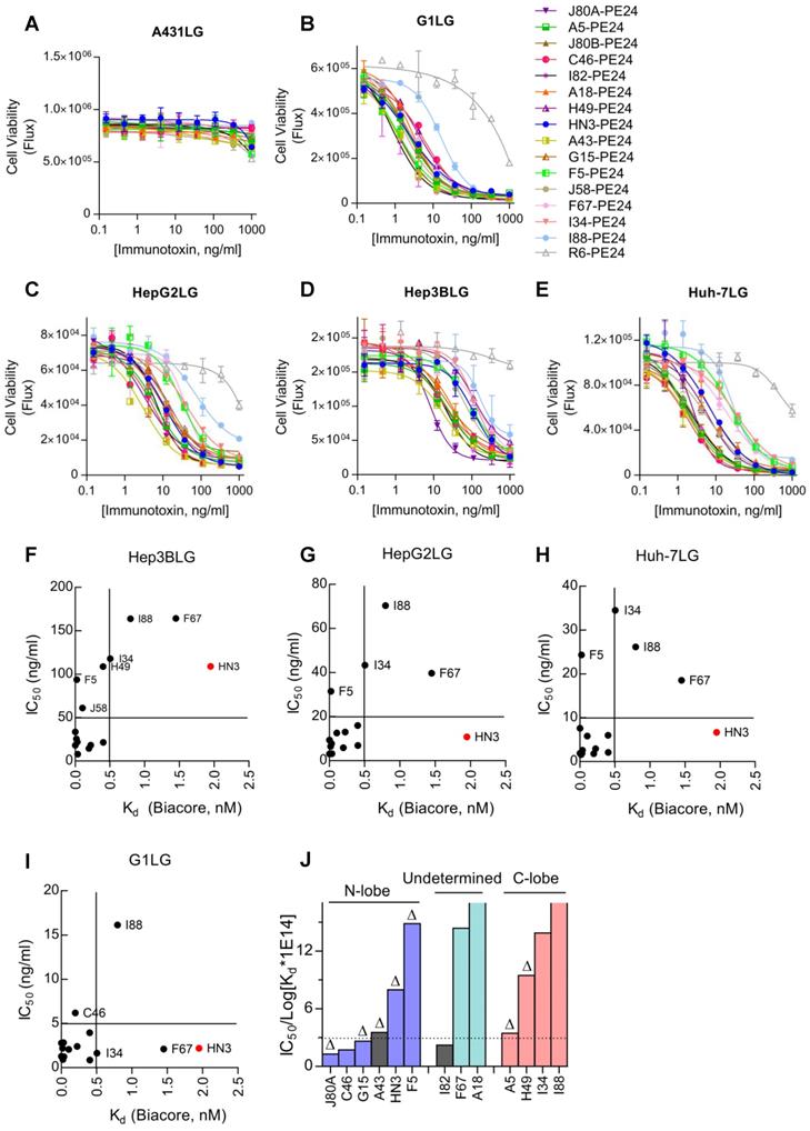 Highly Potent Immunotoxins Targeting the Membrane-distal N-lobe of GPC3 ...
