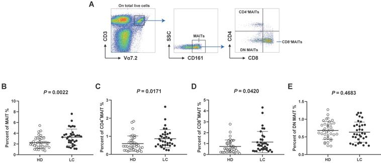 Participation of Increased Circulating MAIT Cells in Lung Cancer: a ...