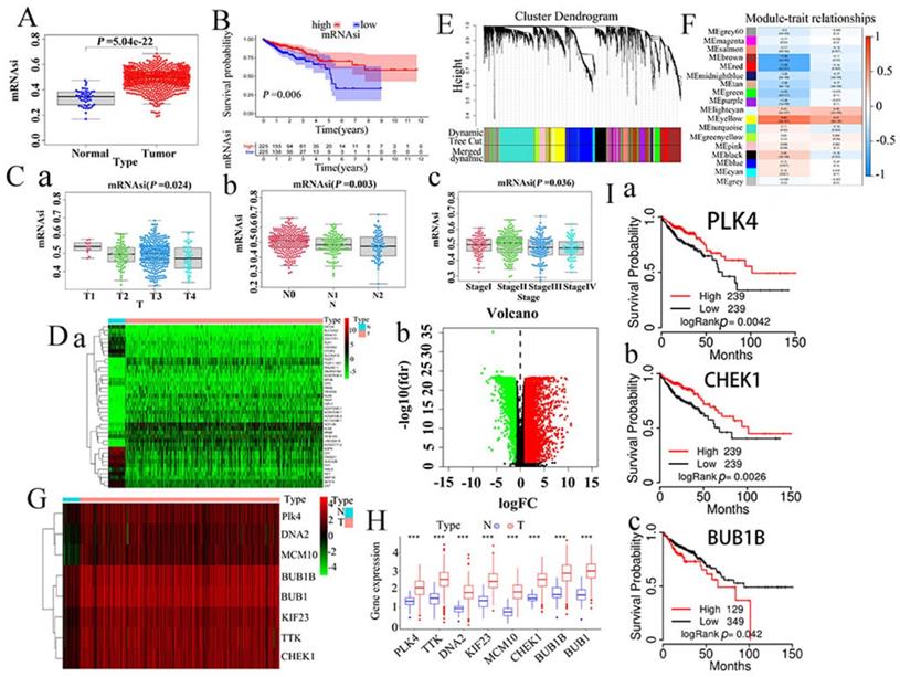 PLK4 is a key molecule in the formation of PGCCs and promotes invasion ...