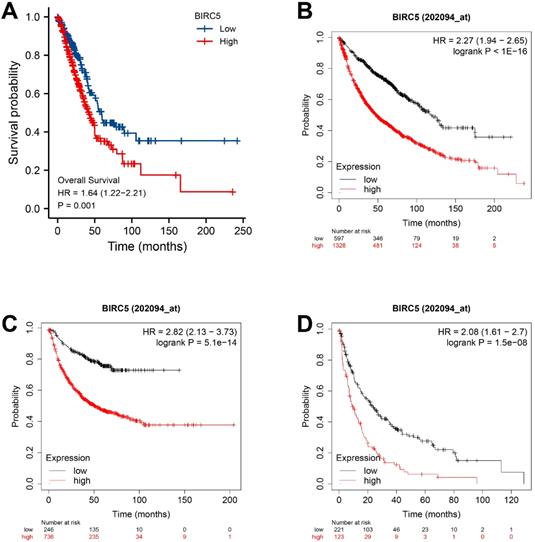 BIRC5 Modulates PD-L1 Expression and Immune Infiltration in Lung ...