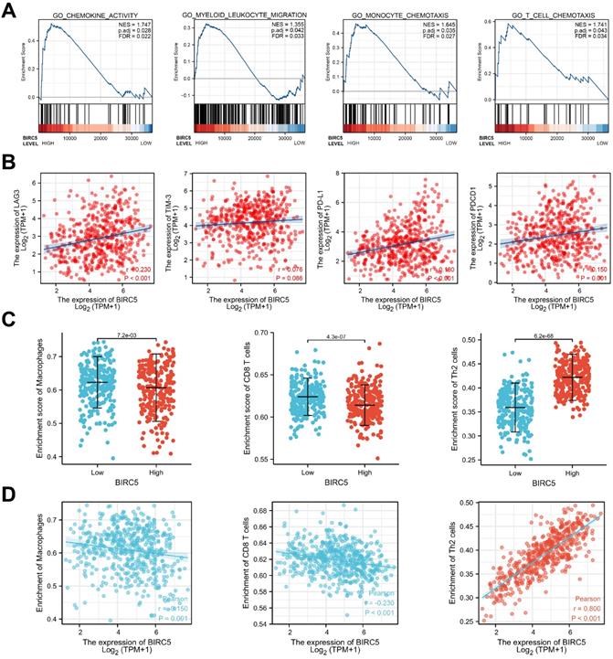 BIRC5 Modulates PD-L1 Expression and Immune Infiltration in Lung ...