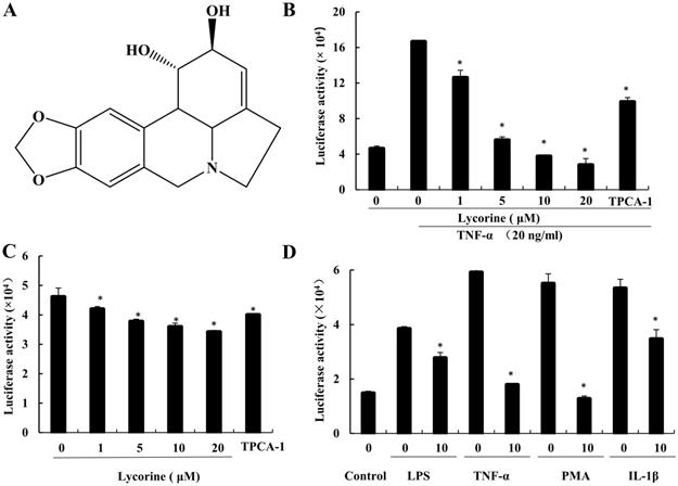 In vitro and in vivo anticancer activity of Lycorine in prostate cancer ...