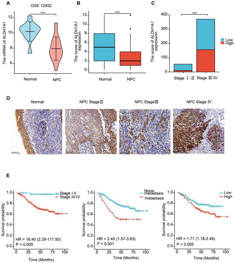 Targeting ALDH1A1 to induce Necroptosis in Nasopharyngeal Carcinoma
