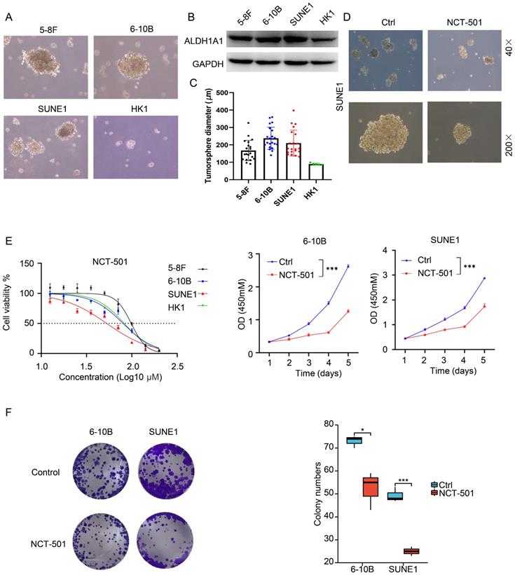 Targeting ALDH1A1 to induce Necroptosis in Nasopharyngeal Carcinoma