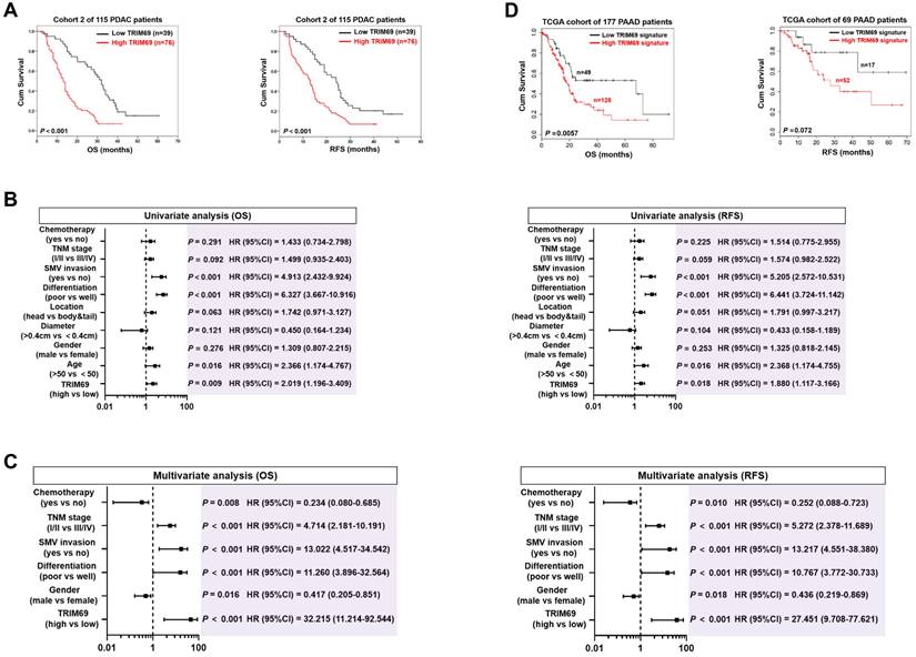 Tripartite motif containing 69 elicits ERK2-dependent EYA4 turnover to ...