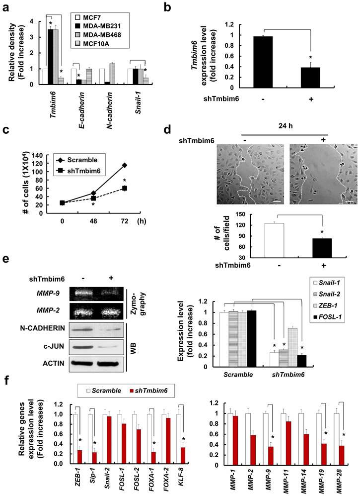 TMBIM6-mediated miR-181a expression regulates breast cancer cell ...
