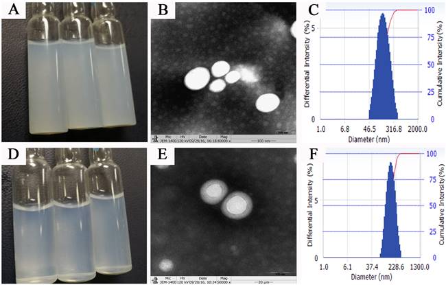 Nanoformulation of Paclitaxel: Exploring the Cyclodextrin / PLGA Nano ...