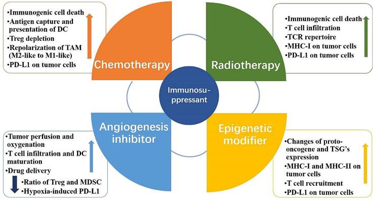 Recent Advancement of PD-L1 Detection Technologies and Clinical ...