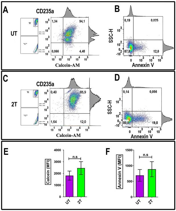 In Vitro Effects of Low-energy Ultrasound Treatment on Healthy CD3/CD8 ...