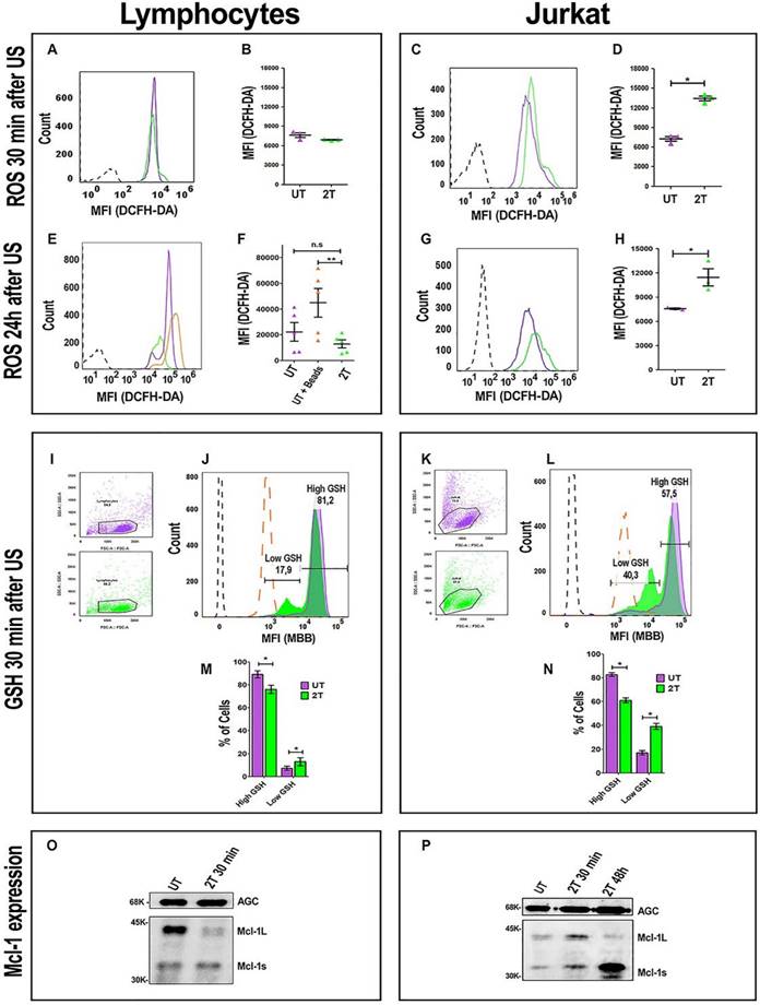 In Vitro Effects of Low-energy Ultrasound Treatment on Healthy CD3/CD8 ...