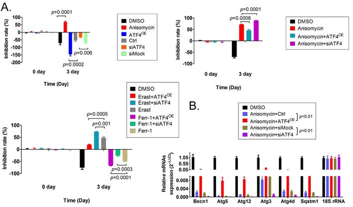 Anisomycin has the potential to induce human ovarian cancer stem cell ...