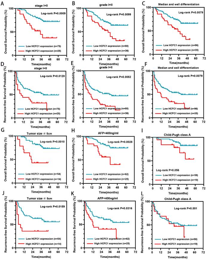 Upregulation of HCFC1 expression promoted hepatocellular carcinoma ...