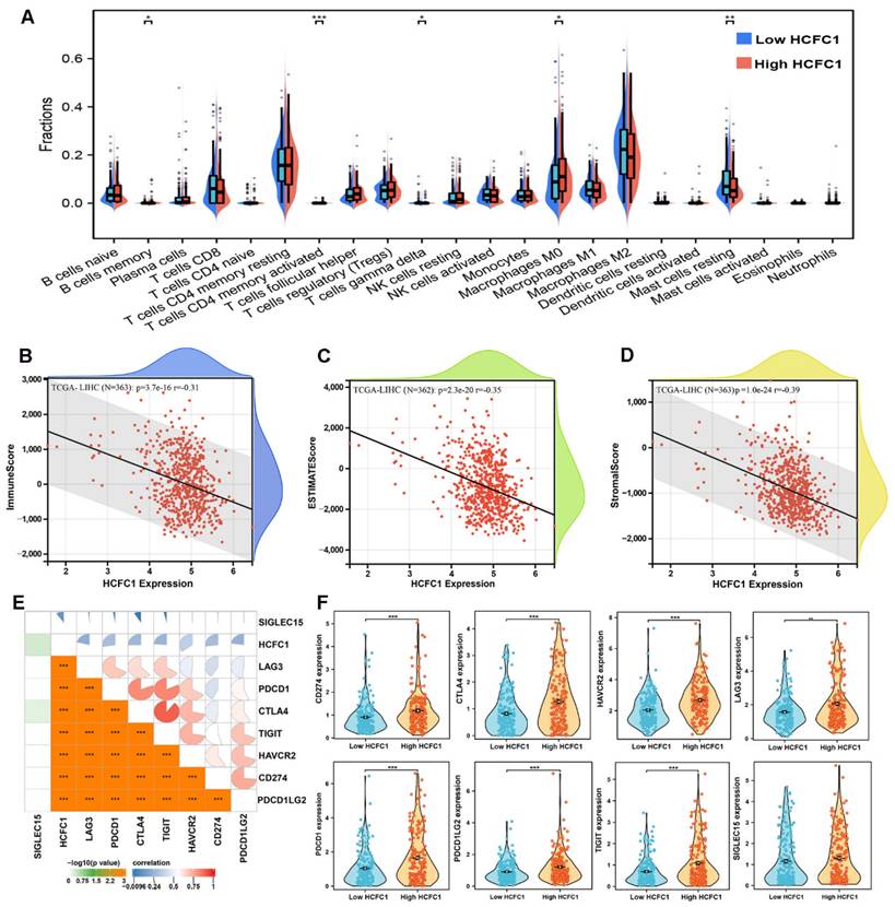 Upregulation of HCFC1 expression promoted hepatocellular carcinoma ...