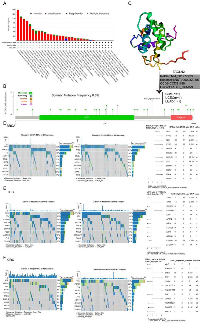 An Integrated Analysis Identified TAGLN2 As an Oncogene Indicator ...