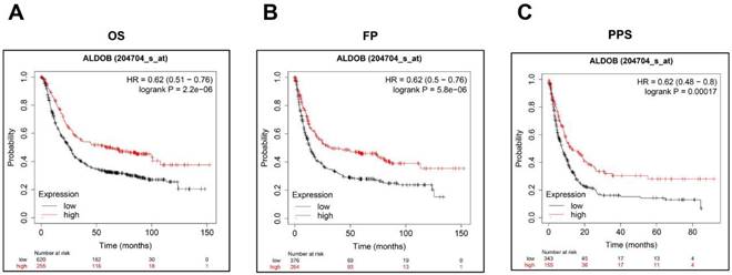 ALDOB plays a tumor-suppressive role by inhibiting AKT activation in ...
