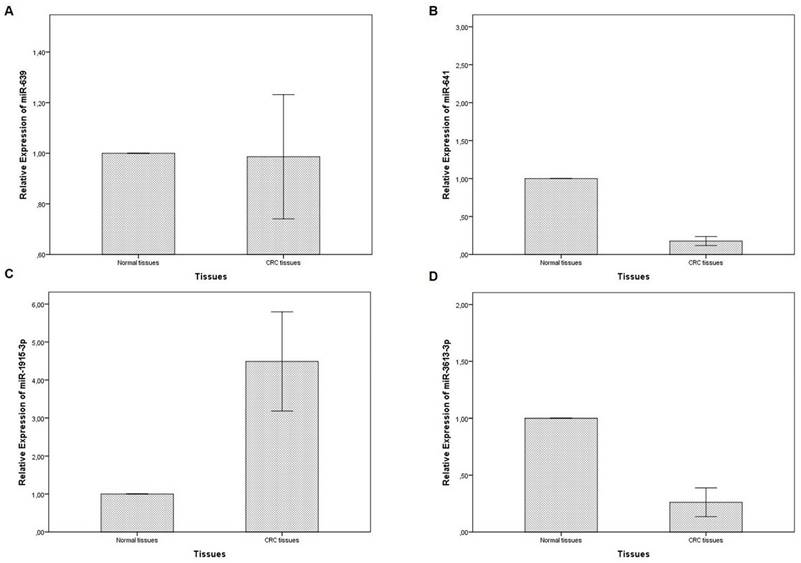 Bioinformatics and Expression Analyses of miR-639, miR-641, miR-1915-3p ...
