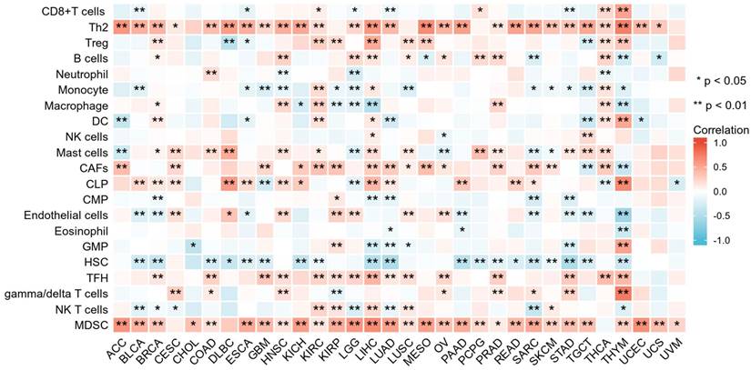 A Comprehensive Analysis of the Prognostic, Immunological and ...
