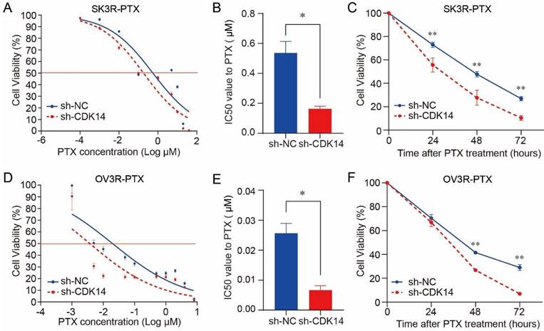 Cyclin dependent kinase 14 as a paclitaxel-resistant marker regulated ...
