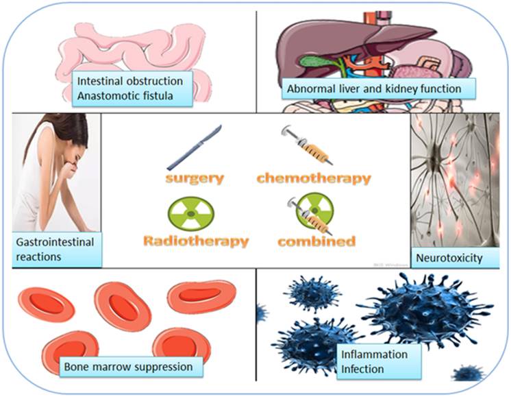 Traditional Chinese medicine as a novel therapy for colorectal cancer ...