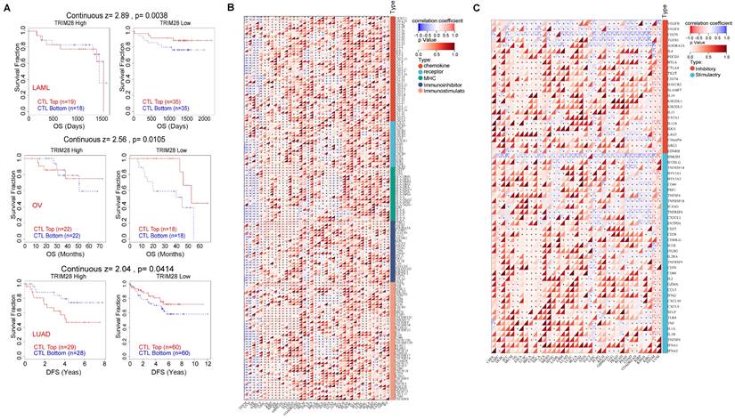 A systematic pan-cancer analysis identifies TRIM28 as an immunological ...