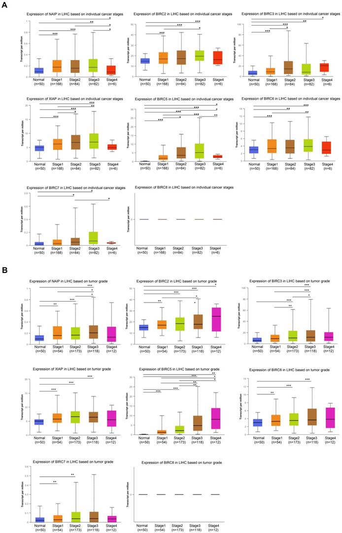 Comprehensive analysis of prognostic value and immune infiltration of ...
