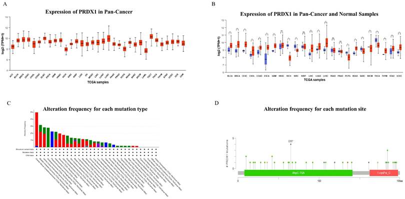 Expression And Prognostic Role of PRDX1 In Gastrointestinal Cancers