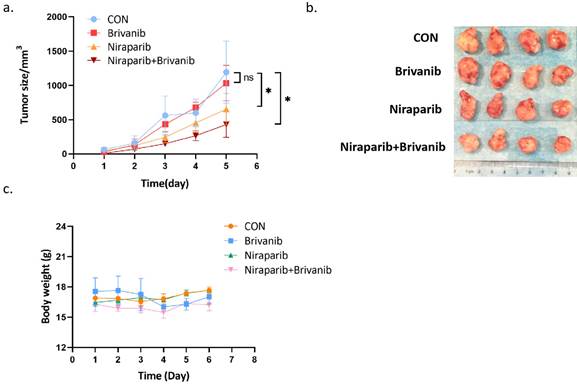 Pharmacological effects of Niraparib and its combination with ...