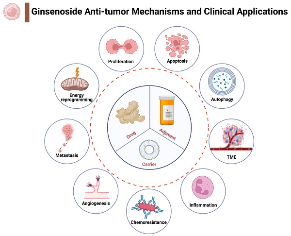 Ginsenosides and Tumors: A Comprehensive and Visualized Analysis of ...