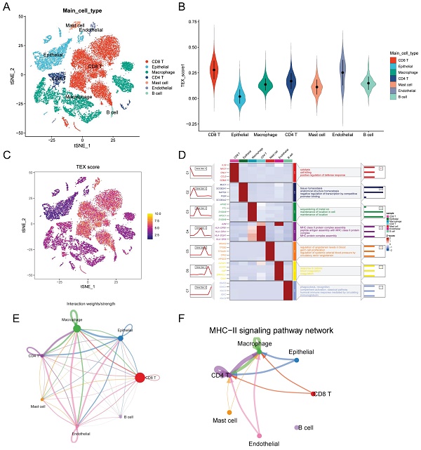 Volume 15, Issue 8 - jca
