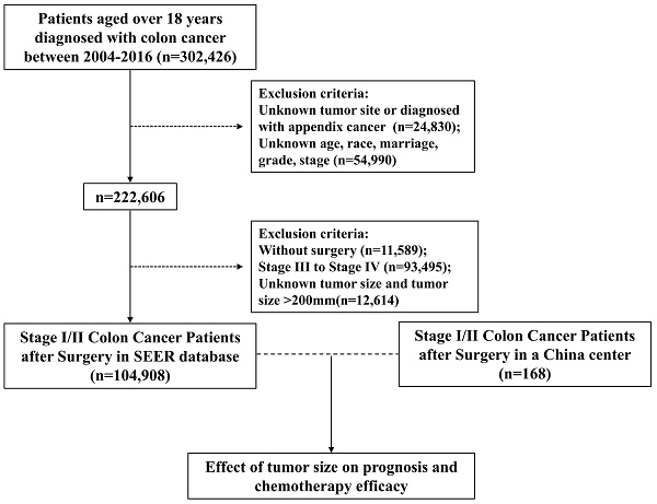 Journal of Cancer